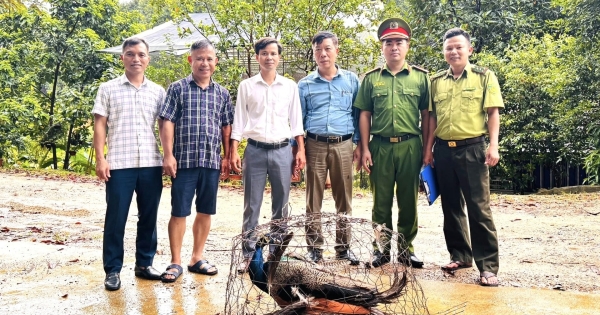 Người dân giao loài chim quý hiếm, có bộ lông kiêu sa rực rỡ cho VGQ Vũ Quang