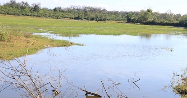 Ch u r?i xu?ng ao ch?t ?u?i, ng u?ng thu?c di?t c? t? v?n