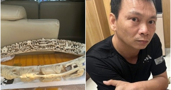 Bắt Phan Anh Điền mua bán ngà voi trái phép