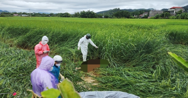Phát hiện thi thể nam giới trên cánh đồng lúa ở Cao Bằng, mảnh giấy tại hiện trường tiết lộ danh ...