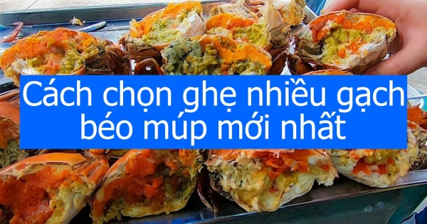 Chọn được ghẹ nhiều gạch, béo múp chỉ cần nhìn vào 5 điểm này