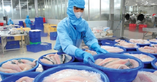 Xuất nhập khẩu Thủy sản Việt Nam bứt phá trong quý III/2024
