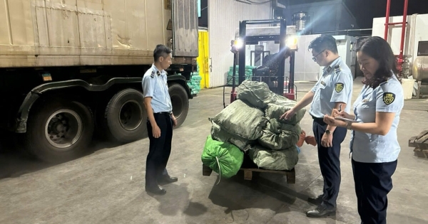 Phát hiện 12 tấn chân gà không rõ nguồn gốc ở Quảng Ninh