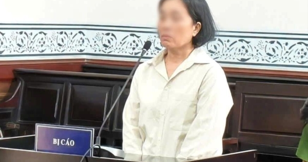 "Bóng hồng" sa ngã: Cựu Phó Chủ tịch Hội Chữ thập đỏ mượn 2 sổ đỏ thật ...