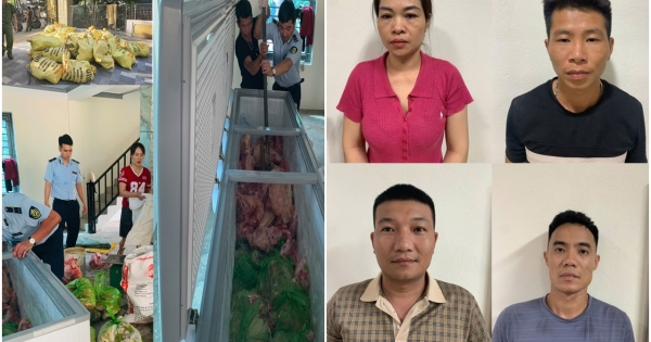 Tạm giữ 4 người ở Thanh Hóa gom heo mắc dịch tả heo châu Phi bán ra thị trường