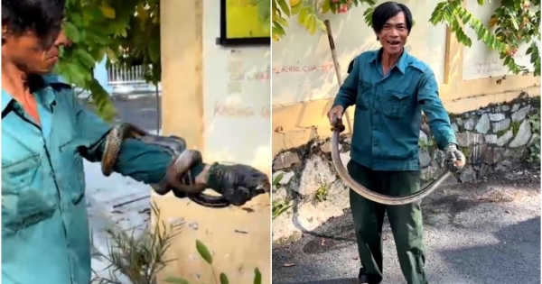 Tin thời sự hôm nay (5/8): Rắn "khổng lồ" xuất hiện trong nhà dân ở TP.HCM