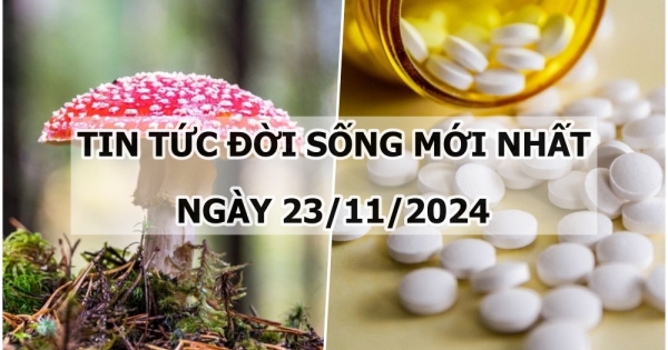 Tin tức đời sống 23/11/2024: 8 người đi cấp cứu, nghi ngộ độc do ăn nấm