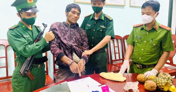 Lật tẩy bí mật bên trong 5 quả dứa gai của người đàn ông ngoại quốc
