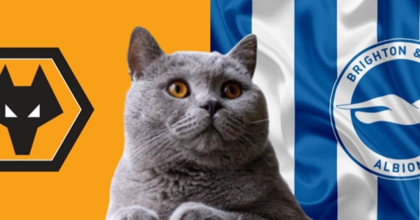 Nhận định soi kèo Brighton vs Wolves, Ngoại hạng Anh 21h ngày 26/10 ...