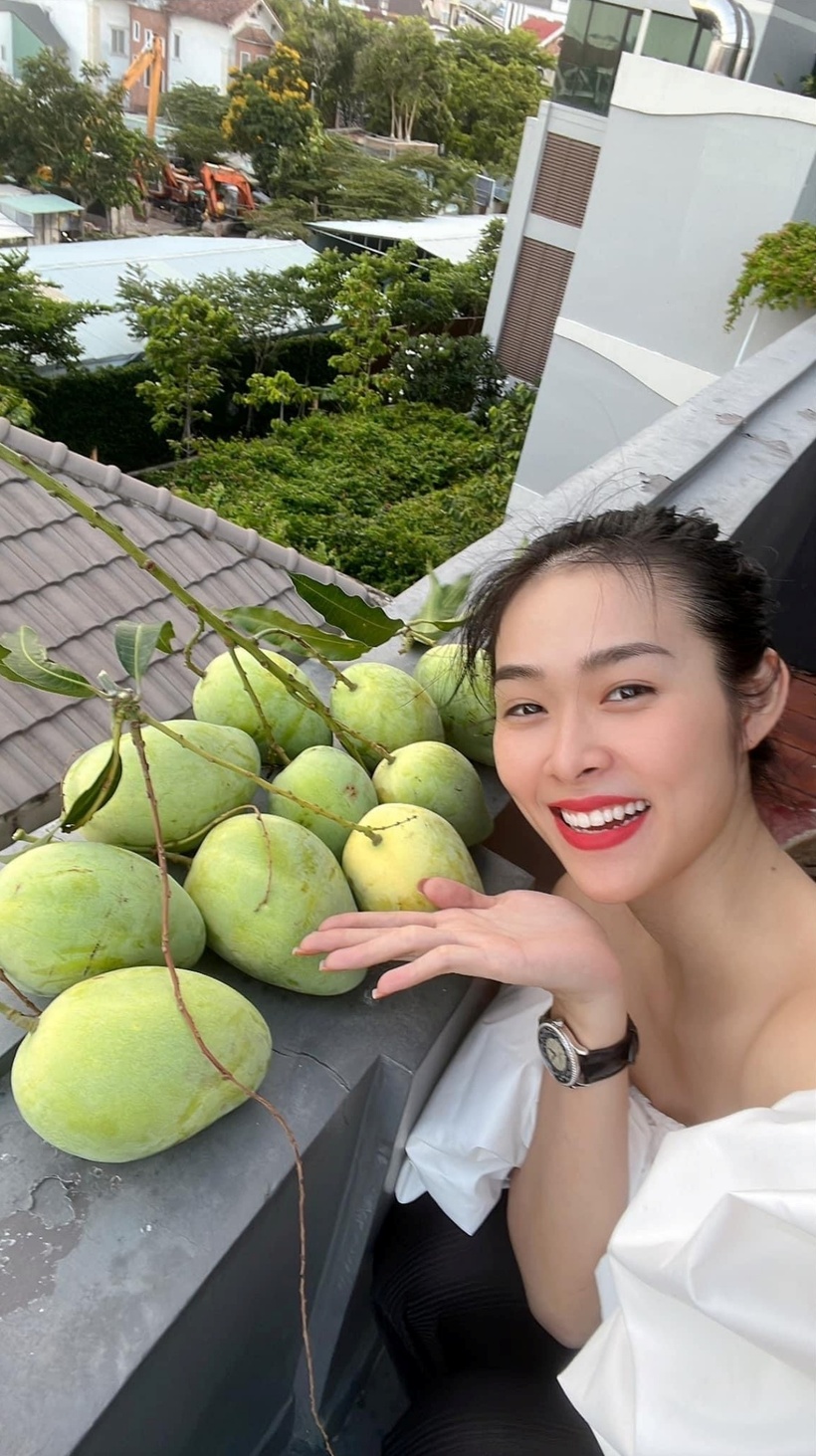 Cơ ngơi “triệu đô” của sao Việt: Khu vườn sân thượng khiến ai nấy thích mê của Diệp Bảo Ngọc
