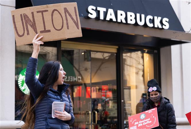 Nguồn cơn khiến Starbucks Hàn Quốc bị tẩy chay dữ dội, CEO mất chức ...