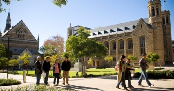 Nhiều du học sinh tại Australia bị bóc lột sức lao động