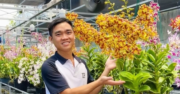 16 tuổi khởi nghiệp, 20 tuổi làm chủ vườn lan tiền tỷ